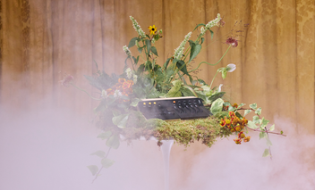 Telepathic Instruments – Telepathic LLC